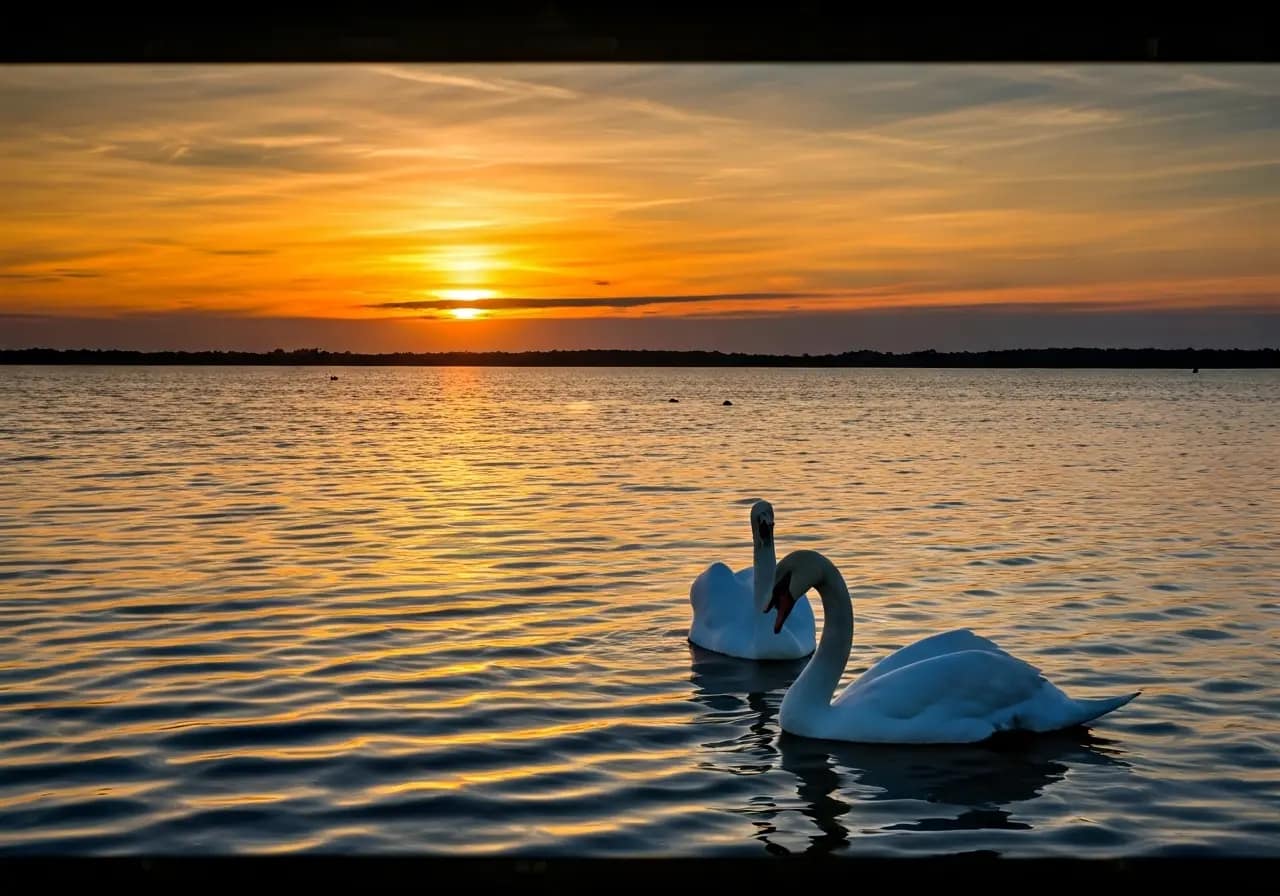 Exploring Emotional Intimacy Through Relationship Counseling ...